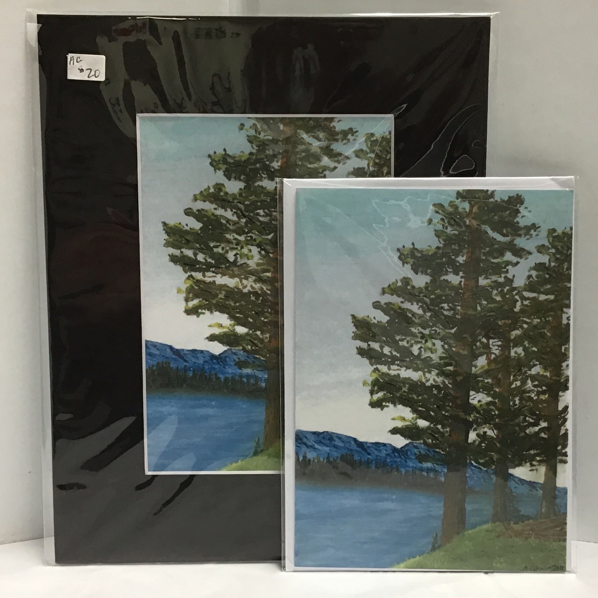 “Waterfront Trees” Prints and Notecards | Maine Jewelry & Art